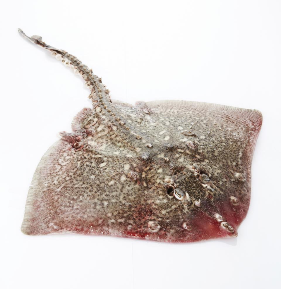 Rog is de vis van het jaar 2021 | Lekker van bij ons - Horeca