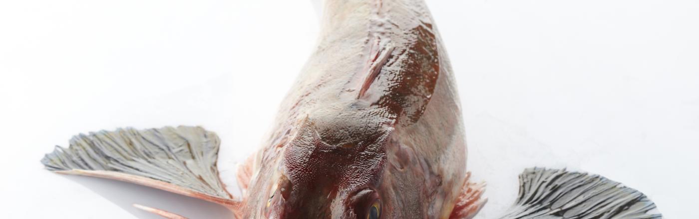 Productfiche rode poon | Lekker van bij ons - Horeca